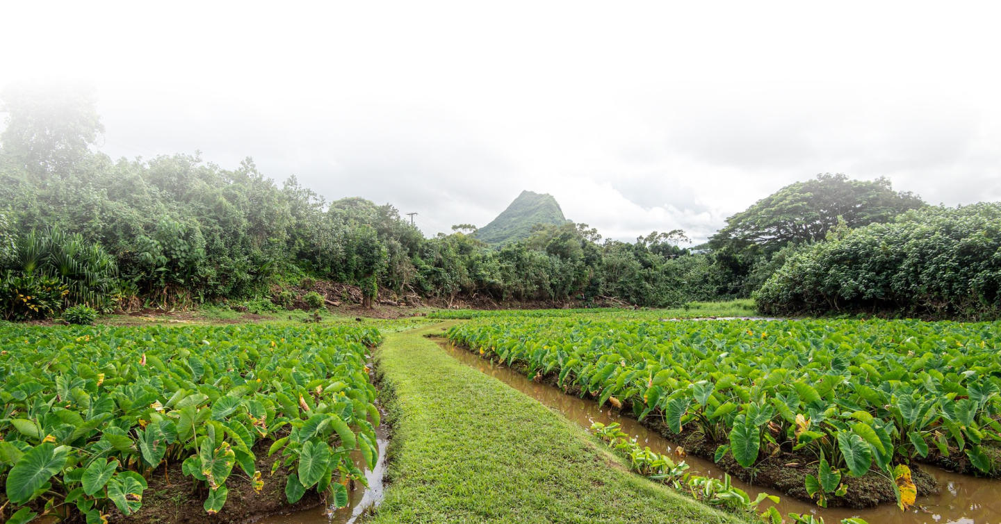 About Us - Stupski Foundation